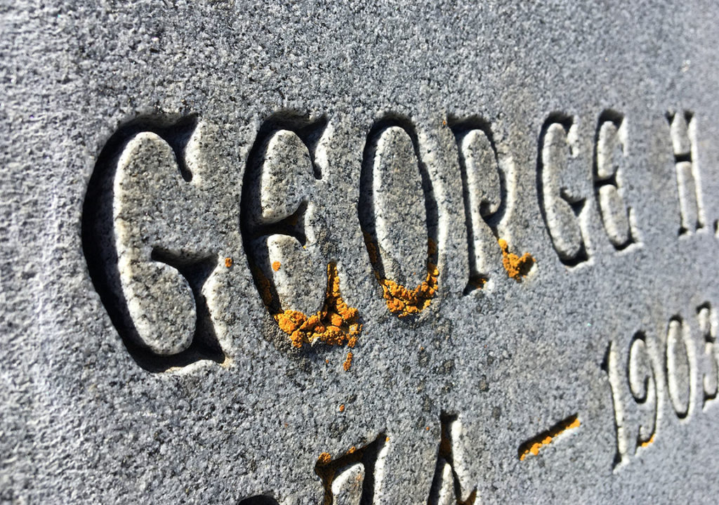 MLC Spacerite Uncial Gothic – MLC